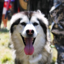 Patate - Discord Bots