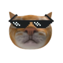 Add Cat Bot Discord Bot | The #1 Discord Bot List