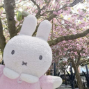 Add Jester Discord Bot | The #1 Discord Bot List