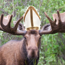 Trending Giphy Bot | Discord Bots