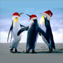 Time Zone Roles | Discord Bots