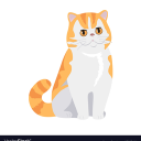 Gato | Discord Bots