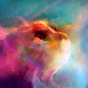 Cosmo Cat | Discord Bots