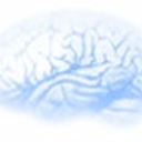 Add Cleverbot Discord Bot | The #1 Discord Bot List