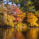 Yang Yang Bot | Discord Bots