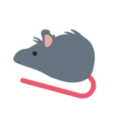 rat facts | Discord Bots