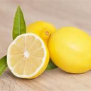 Add lemon Discord Bot | The #1 Discord Bot List