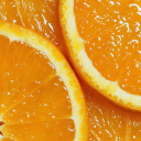 Add Orange Cord Discord Bot | The #1 Discord Bot List