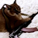 Add Floppa Bot Discord Bot | The #1 Discord Bot List