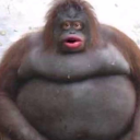 Add Monke Discord Bot | The #1 Discord Bot List