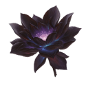 Add Black Bot-us Discord Bot | The #1 Discord Bot and Discord App List