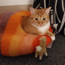 Add Fish Bot Discord Bot | The #1 Discord Bot List